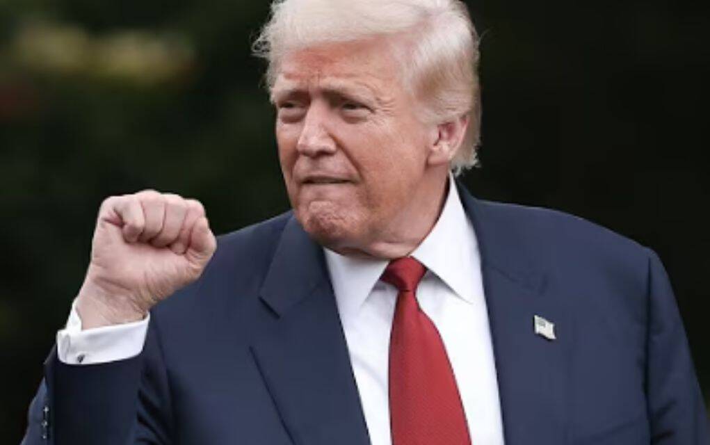 Donald Trump receives surprising news that has him grinning ear to ear ...