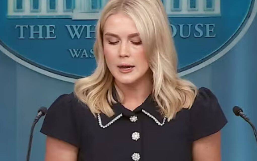 White House press secretary goes scorched earth on reporter from this ...